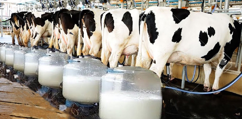 ANIMAL HUSBANDRY AN OVERVIEW Agriculture Wale animal-husbandry-an-overview-agriculture-wale