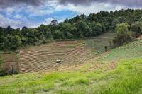 INTEGRATED FARMING SYSTEM - Agriculture Wale