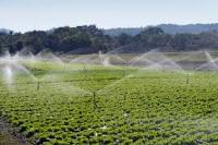 WHAT IS IRRIGATION- DIFFERENT METHODS - Agriculture Wale