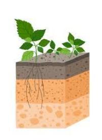 SOIL PROFILE- DIFFERENT HORIZONS - Agriculture Wale
