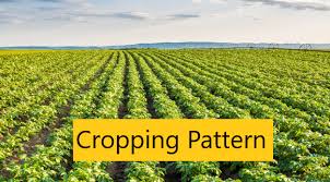 CROPPING PATTERN-CROPPING SYSTEM - Agriculture Wale