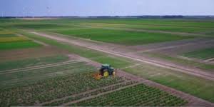 STRIP CROPPING-DEFINITION,USE&TYPES - Agriculture Wale