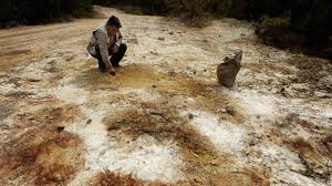 WHAT IS SOIL POLLUTION-SOURCES, EFFECT & CONTROL - Agriculture Wale