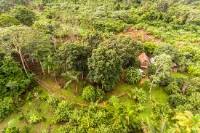 AGROFORESTRY- FEATURE,TYPES & BENEFITS - Agriculture Wale
