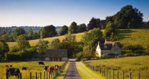 FARM MANAGEMENT- DEFINITION & OBJECTIVES