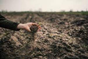 SOIL FERTILITY AND PRODUCTIVITY - Agriculture Wale