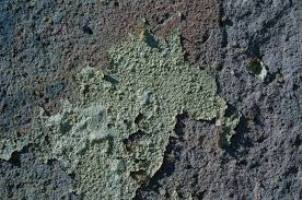 INFILTRATION MEANING- AN OVERVIEW - Agriculture Wale