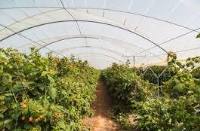 INTENSIVE FARMING-FEATURES, ADVANTAGE & DISADVANTAGE - Agriculture Wale