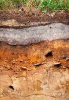 ELUVIATION AND ILLUVIATION- SIMILARITIES & DIFFERENCES - Agriculture Wale