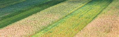 Cropping Systems- Meaning Types & Advantages - Agriculture Wale