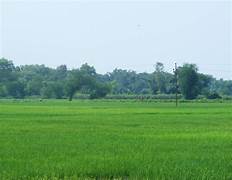Krishi Road Map of Bihar - Agriculture Wale